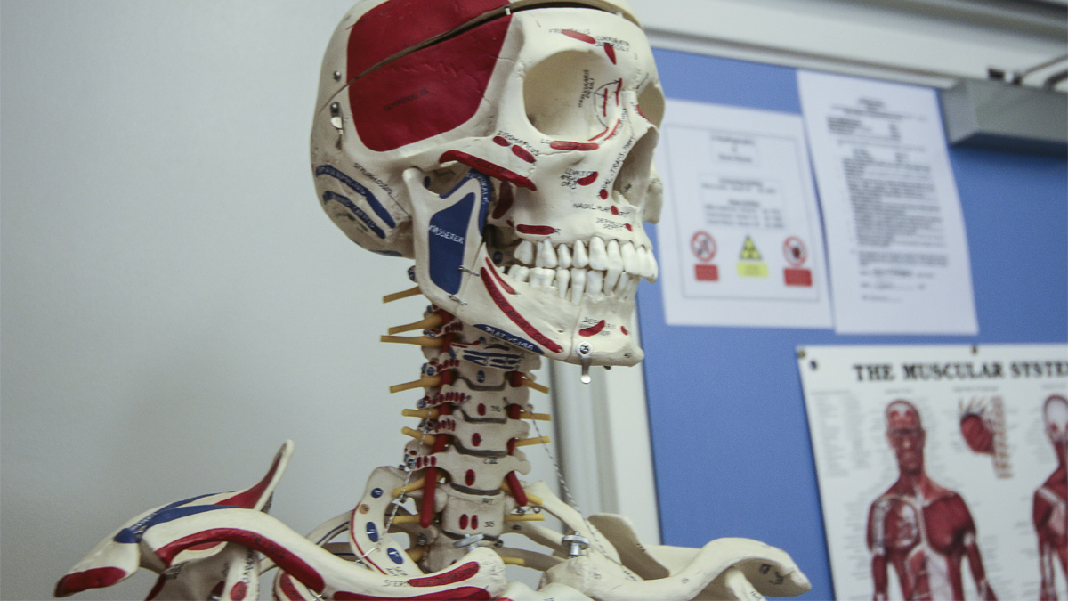 Master's course - Department of Archaeology, University of Reading